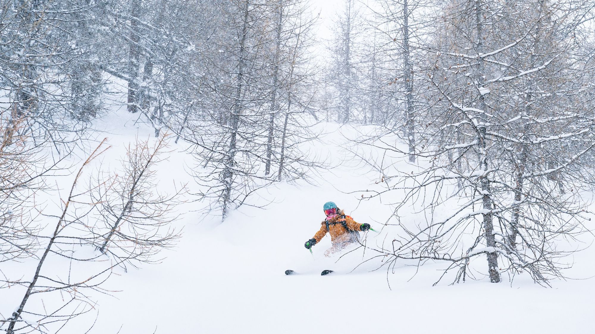 Live from PA 16: Powder in Puy Saint Vincent! - wePowder